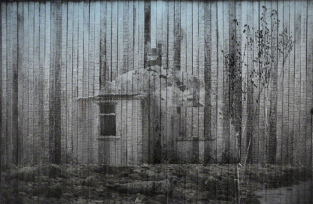 Digital Art – SUSAN KEMP